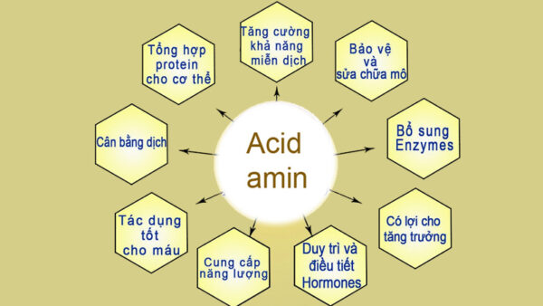 Vai trò của máy phân tích amino acid trong thức ăn chăn nuôi